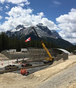 Engineering - McElhanney