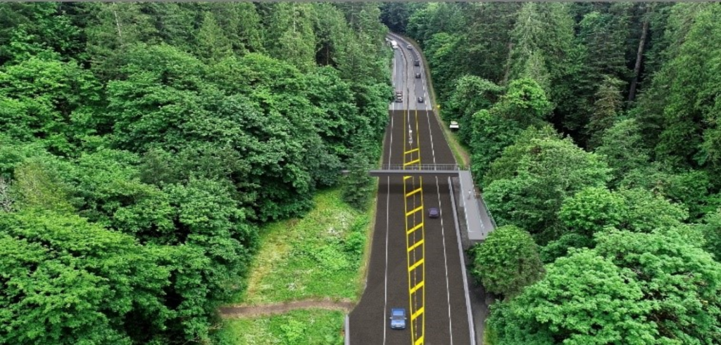 Take a tour of Hwy 1 through Goldstream Provincial Park - McElhanney