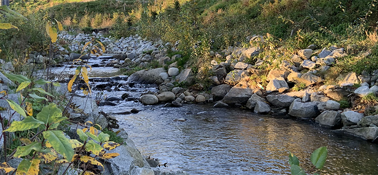 Water Resources - McElhanney